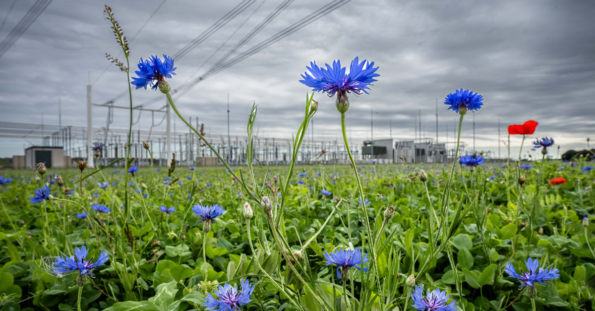 Home | Hanab Energy Solutions