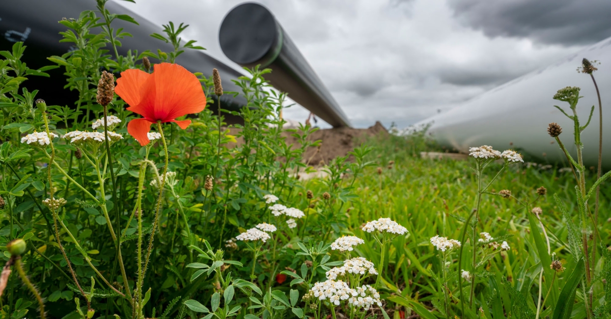 Home | Hanab Pipelines & Utilities